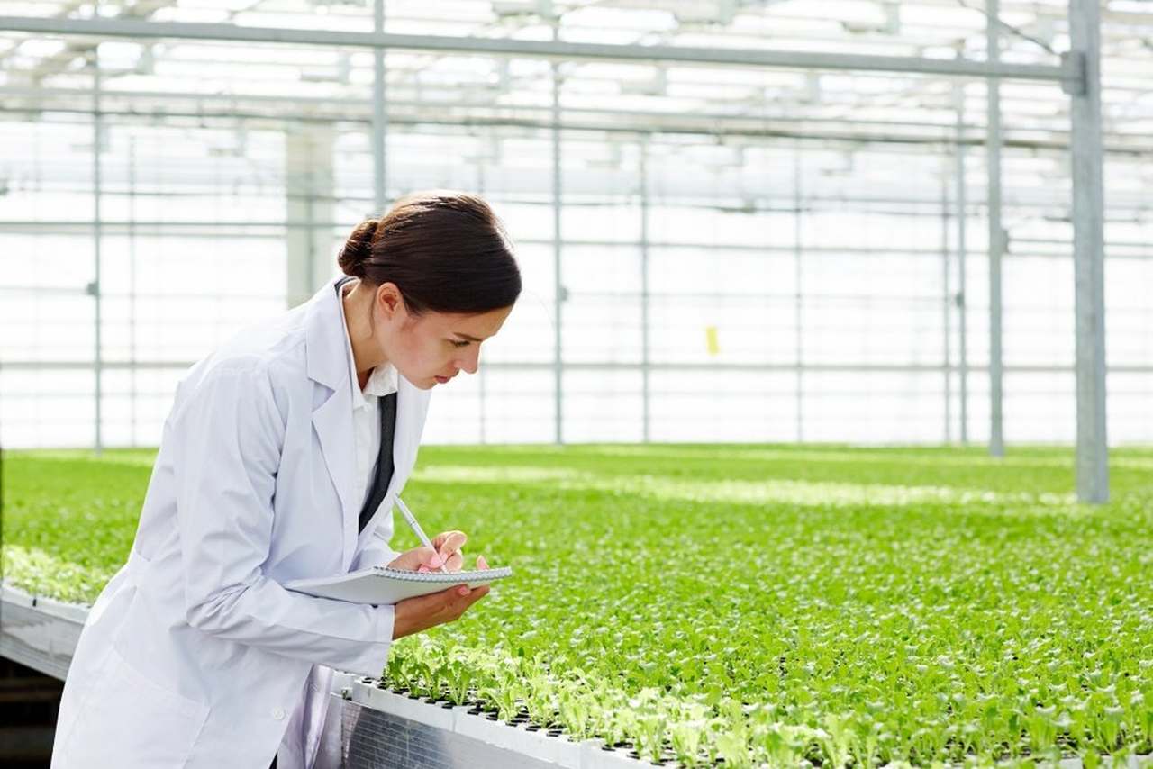 About – mmilabs.net